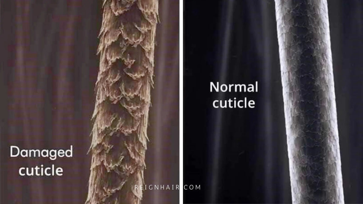 Why Is Cuticle Important for Hair Extensions? – Cooviphair